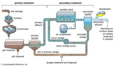 Use of Nanoparticles in Water Purification